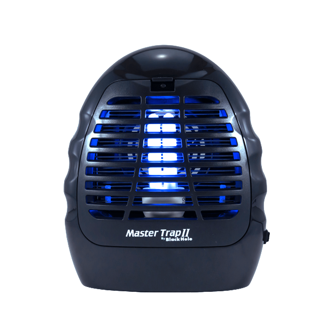 Black Hole Master Trap 2 - A New Day